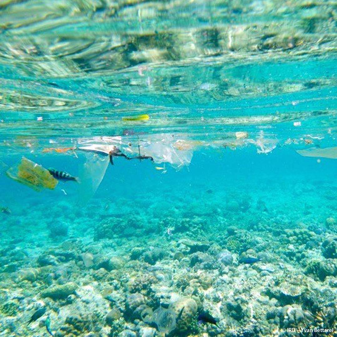 Desertification Upsc